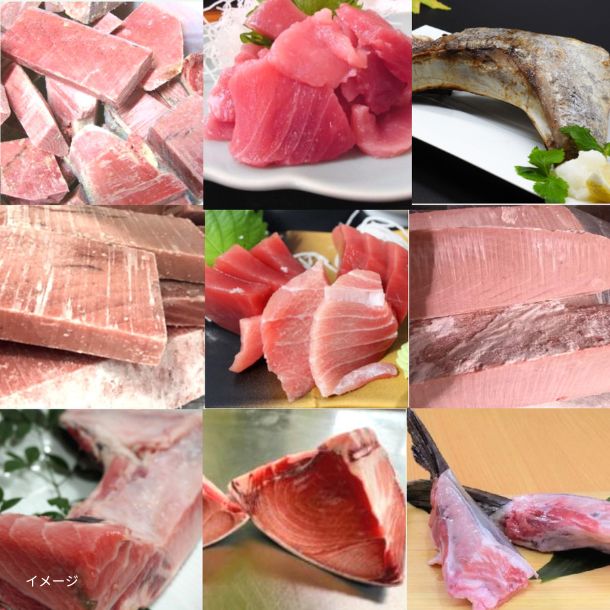 Kuradashi限定「訳あり鮪 福袋 4種以上約5kg」のお得通販｜Kuradashi(クラダシ)でフードロス・食品ロス削減！