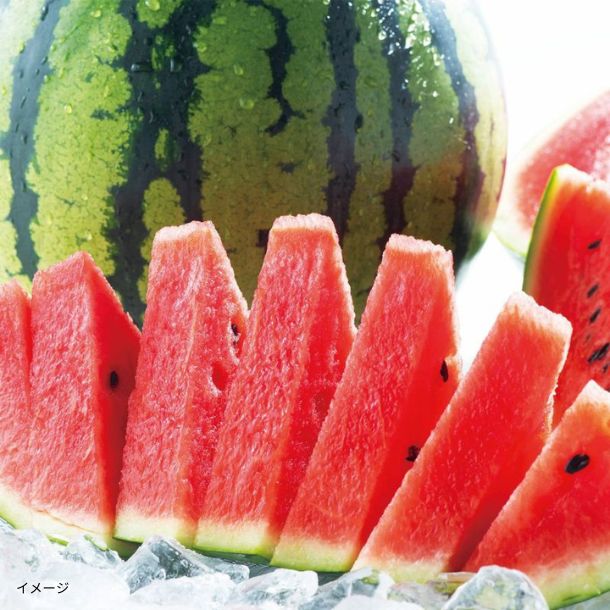 熊本県産「大玉すいか 1玉」のお得通販｜Kuradashi(クラダシ)でフードロス・食品ロス削減！