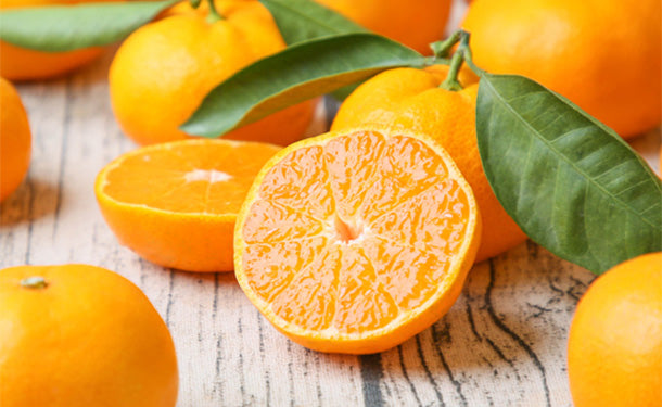 愛媛県産「吉田みかん」5kgのお得通販｜Kuradashi(クラダシ)でフードロス・食品ロス削減！