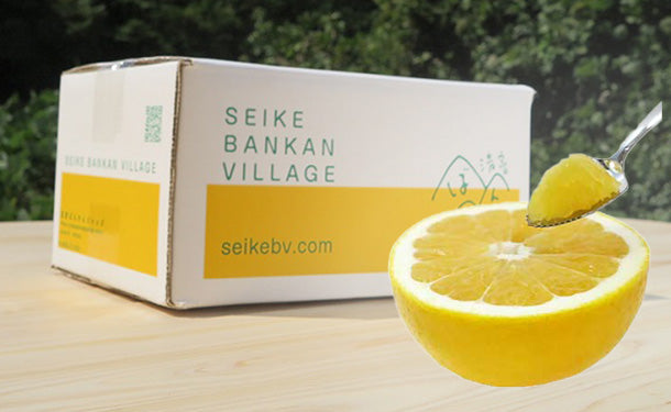 愛媛県産「プレミアム河内晩柑（L/2L/3L）」5kgのお得通販｜Kuradashi(クラダシ)でフードロス・食品ロス削減！