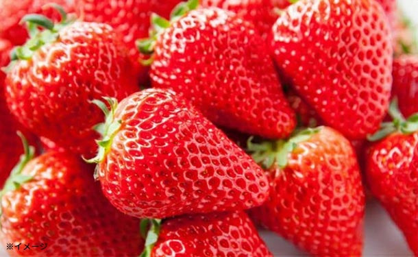 福岡県産「あまおう」270gのお得通販｜Kuradashi(クラダシ)でフードロス・食品ロス削減！