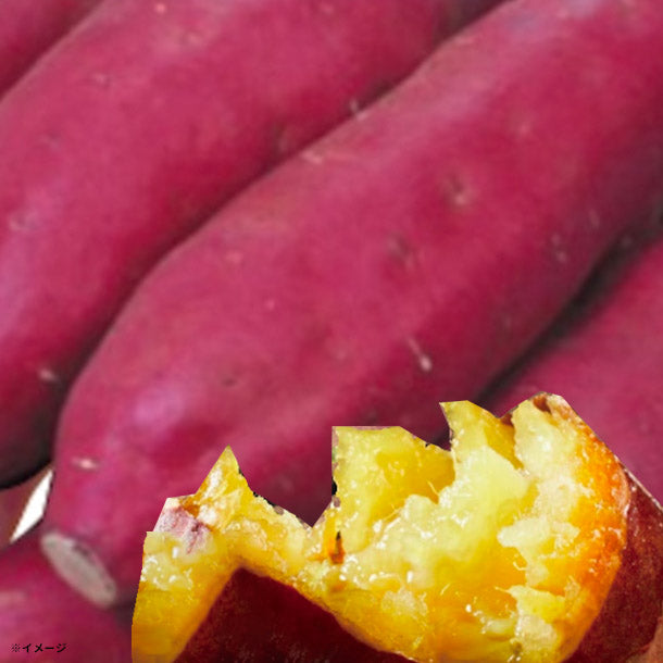 「房総野菜 紅あずま」約2kgのお得通販｜Kuradashi(クラダシ)でフードロス・食品ロス削減！