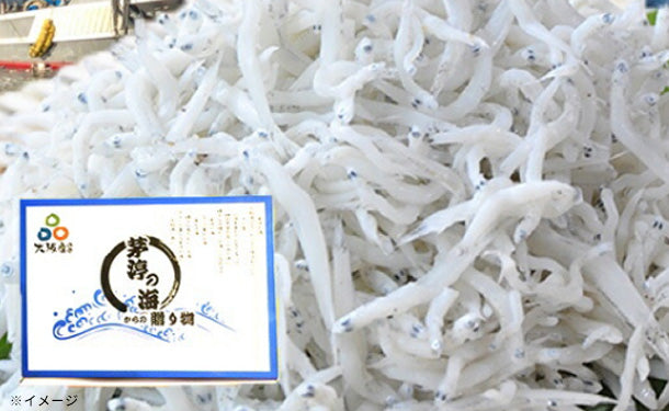 「朝獲れ直送 釜揚げしらす」250gのお得通販｜Kuradashi(クラダシ)でフードロス・食品ロス削減！