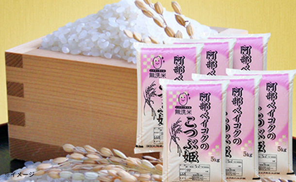 「こつぶ姫 無洗米」5kgのお得通販｜Kuradashi(クラダシ)でフードロス・食品ロス削減！