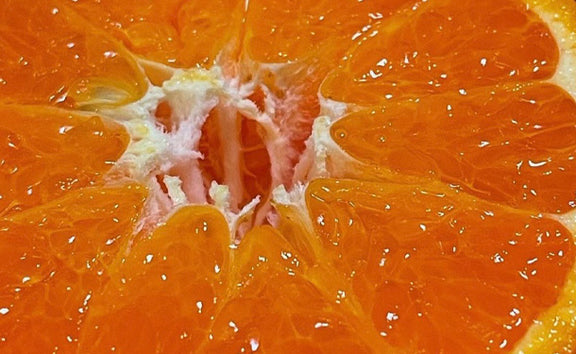 大崎上島産「雹被害の訳あり温州みかん」5kg（50個程度）のお得通販｜Kuradashi(クラダシ)でフードロス・食品ロス削減！