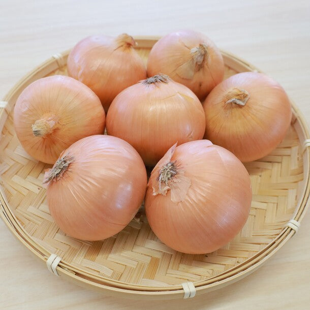 【Kuradashiオリジナル】市場直送！つやつや玉ねぎ 約10kgのお得通販｜Kuradashi(クラダシ)でフードロス・食品ロス削減！