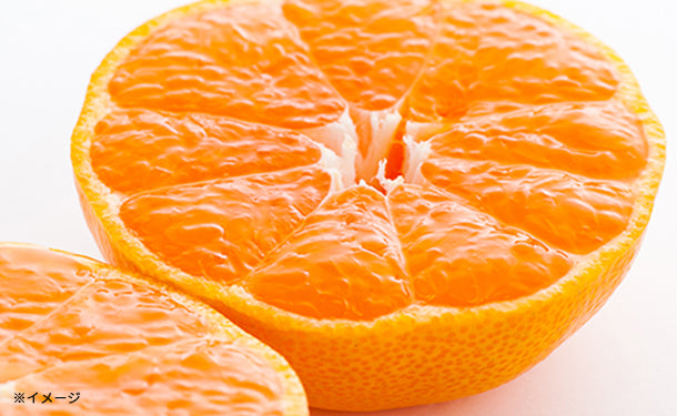 愛媛県産「お歳暮用の秀品みかん（中玉）」3kgのお得通販｜Kuradashi(クラダシ)でフードロス・食品ロス削減！