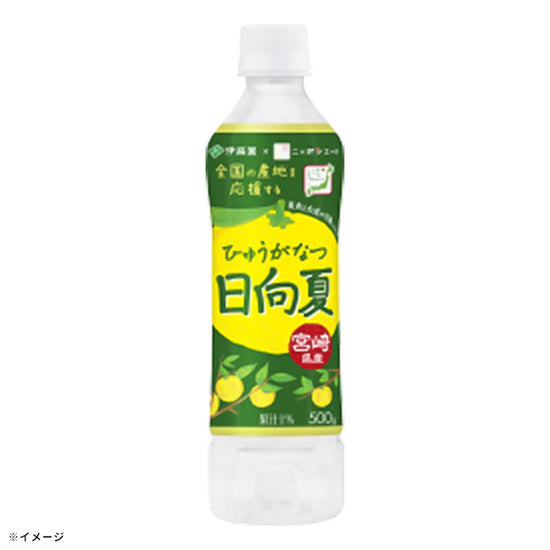 伊藤園「ニッポンエール 宮崎県産日向夏」500gのお得通販｜Kuradashi(クラダシ)でフードロス・食品ロス削減！