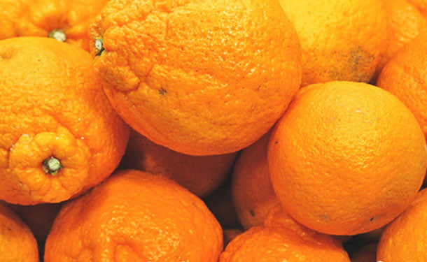 愛媛県産「訳あり 不知火（デコポン）」約3kgの通販｜Kuradashiでフードロス・食品ロス削減！